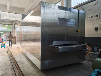 China Liquid Nitrogen Blast Tunnel Freezer 1000kg/H 2000kg/H For Crayfish N2 IQF for sale