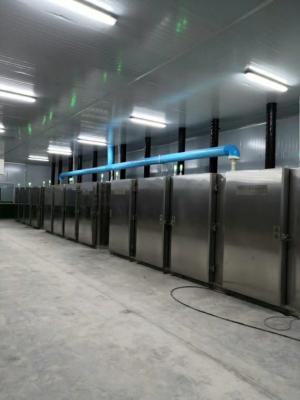 China Sus304 60 Cu Ft Electric Cryo Chamber Individual Quick Freezing For Seafood Odm for sale
