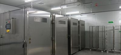 China PLC Cryogenic Freezing Chamber SS304 Large Chest Freezer Minus 120C Fruit for sale