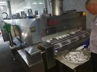 China Minus 120c Liquid Nitrogen Tunnel Freezer Commercial Blast Chiller 2000kg/H 2500kg/H for sale