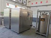 China Minus 196 Degree Standing Deep Freezer Iqf Energy Efficient Chest Freezer Iso9001 for sale