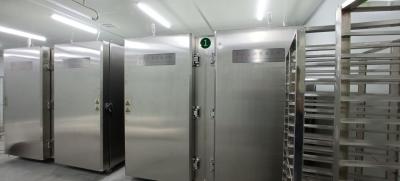 China 5kw Cryogenic Freezing Chamber 8000kg Stainless Steel Chest Freezer SUS304 for sale