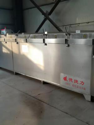 China Minus 196 Deg Cryogenic Furnace  650mm Liquid Nitrogen Tunnel Freezer Odm for sale