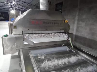 China Mesh Belt Tunnel Freezer 2200kg/H 2800kg/H LN2 Quick Freezing Machine OEM for sale