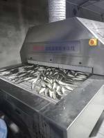 China Mesh Belt Tunnel Freezer 2200kg/H 2800kg/H LN2 Quick Freezing Machine OEM for sale