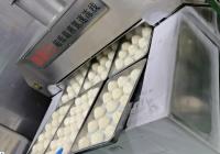 China Minus 150 C Impingement Tunnel Freezer  10kw Quick Freezing Machine 200k for sale