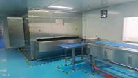 China Conveyor Impingement Freezing Tunnel Iqf Freezer 250kg/H 300kg/H for sale