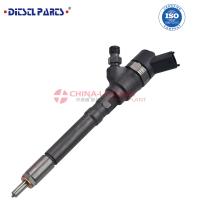 China Common Rail Fuel Injector 0 445 110 064 for Hyundai KIA Carens 2.0L Diesel for sale