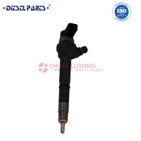 China Common Rail Fuel Injector 0 445 110 646 for Audi Seat Skoda VW 1600bar for sale