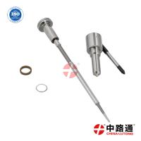 China Common Rail Injector Repair Kit 0 445 110 250 for Diesel Engines for sale