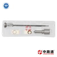 China Common Rail Injector Repair Kit 0 445 110 250 for Diesel Engines for sale