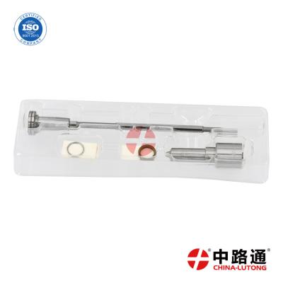 China Common Rail Injector Repair Kit 0 445 110 250 for Diesel Engines for sale