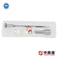 China Common Rail Injector Repair Kit 0 445 110 250 for Diesel Engines for sale