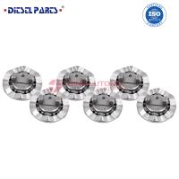 China VE Pump Cam Plate 1466111360 for FIAT-ALLIS 8065.05.420 4 Cylinder Diesel Engine for sale