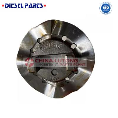 China VE Pump Cam Plate 2466110143 for VW Golf Audi A3 Beetle 4 Cylinder Diesel Engine for sale