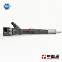 China Diesel Common Rail Fuel Injector 0 445 110 520 0.6kg for Paladin 2.5D 4WD for sale