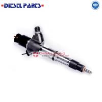 China Diesel Common Rail Fuel Injector 0 445 120 224 for Weichai WD10 Engine 120mm for sale