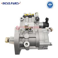 China Fuel Injection Pump 960004660 for Perkins 313D2 9520A180h T420156 465-6106 for sale