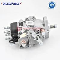 China Fuel Injection Pump 0 460 424 326 VE Distributor Pump for Diesel Engines for sale