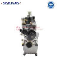 China Fuel Injection Pump 9 461 624 686 VE Distributor Pump for Diesel Engines 12V for sale