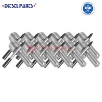 China Common Rail Fuel Injector Nozzle 0 433 171 844 for Diesel Engines High Durability for sale