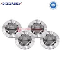 China Fuel Pump Cam Plate 1466110658 for Ford F4000 F350 4BTAA 4 Cylinder VE Pump for sale