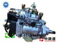 China Toyota 1HZ Fuel Injection Pump 22100-1C050 22100-1C190 for Landcruiser J75 1999-2007 for sale