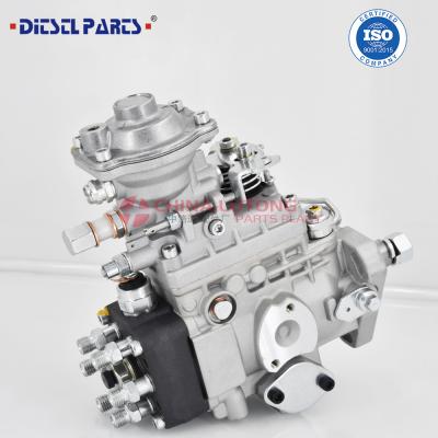 China Fuel Injection Pump H1046418171 100P/600P EX60-5 Distributor Type for sale
