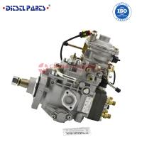 China Diesel VE Pump NJ-VE4/11E1800L009 for JX493ZLQ3B Engine 4 Cylinder for sale
