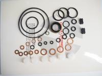 China Fuel Injection Repair Kit 800637 for VE Pumps Gasket Kit 25 Years OEM for sale