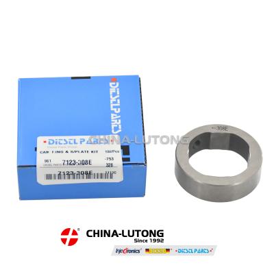China DPA Diesel Fuel Injector Pump Element Cam RING & S/PLATE KIT 7123-308E   for DELP Injection System High Speed Steel 7139-713E for sale