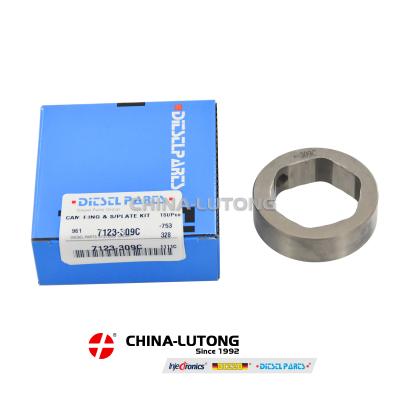 China Diesel Fuel Parts Cam & Scroll Kit Cam Ring 7123-309C for DPA Pump for sale