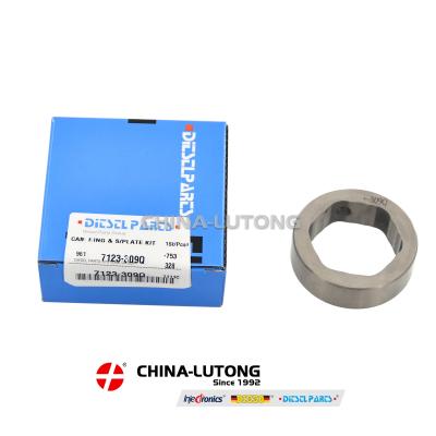 China Diesel Fuel Pump Cam Ring 7123-309Q   for   Delp   CAV DPA   3230140、3230170、3230230、3230240 for sale