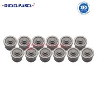 China Injection Pump Delivery Valves 1 468 632 248 for sale