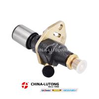 China Fuel Injection Pump 178F   178FA Engine Injection 12v Solenoid for YANMAR Fuel pump head assy for sale