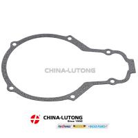 China Diesel Fuel Injector Pump Repair Kit 2 417 010 001 for Toyota Fuel Injector Repair Kit for sale