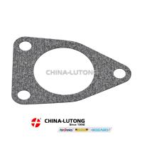China Diesel Fuel Injector Pump Repair Kit 2 417 010 001 for Toyota Fuel Injector Repair Kit for sale