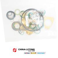 China Diesel Injection Pump Repair Kit 241701022  / 2 417 010 022   for Bos-ch PE8P IVE-CO Diesel Engine for sale