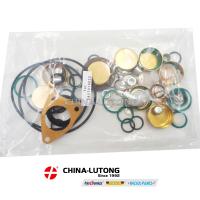 China Diesel Injection Pump Repair Kit 241701022  / 2 417 010 022   for Bos-ch PE8P IVE-CO Diesel Engine for sale