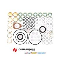 China Diesel Injection Pump Repair Kit 241701022  / 2 417 010 022   for Bos-ch PE8P IVE-CO Diesel Engine for sale