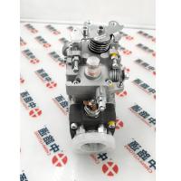 China VE distributor pump 0 460 415 001    VE5-11F1250R58    for FIAT 880-5.955C Tractor Diesel Engine for sale