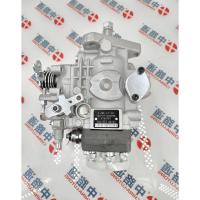 China VE distributor pump 0 460 415 001    VE5-11F1250R58    for FIAT 880-5.955C Tractor Diesel Engine for sale