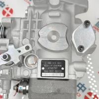 China VE distributor pump 0 460 415 001    VE5-11F1250R58    for FIAT 880-5.955C Tractor Diesel Engine for sale