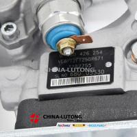 China Ve Fuel Pump 0 460 426 254    VE6-12F1250R671   for Cumm-ins 6BT 5.9L Diesel Engine for sale