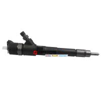 China Fuel Injector 0 445 110 248   Diesel Common Rail Fuel Injector For BOS-CH 0445110247 504380117 for sale