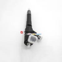 China Fuel Injector 0 445 110 248   Diesel Common Rail Fuel Injector For BOS-CH 0445110247 504380117 for sale