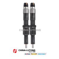 China Diesel Fuel Injector 0 445 120 020    for Ren-ault DCI11 E / Dongfeng DCI11 Heavy Truck Diesel Engine for sale