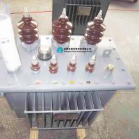 China Hydro Power Plant Step Up Transformer S11 Oil Immersed Transformer for sale