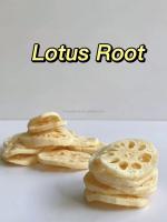 China VF Lotus Root Chips 5KG Bulk - Vacuum Fried Vegetable Snacks with 12 Month Shelf Life and BRC/KOSHER Certification for sale