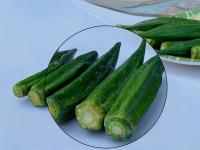 China Crisp VF Okra 2.5KG - Low Temperature Vacuum Fried Vegetable Snacks with 12 Month Shelf Life for sale